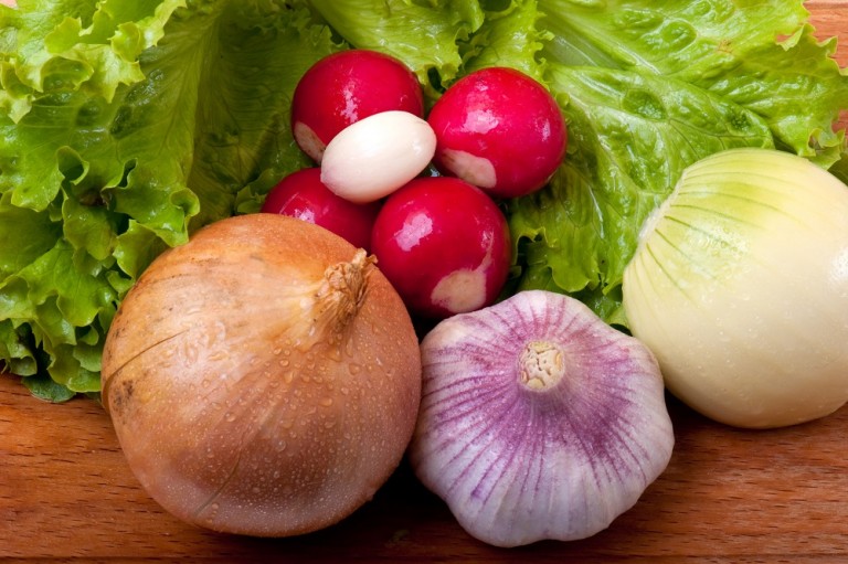 8 Surprisingly Poisonous Foods For Dogs